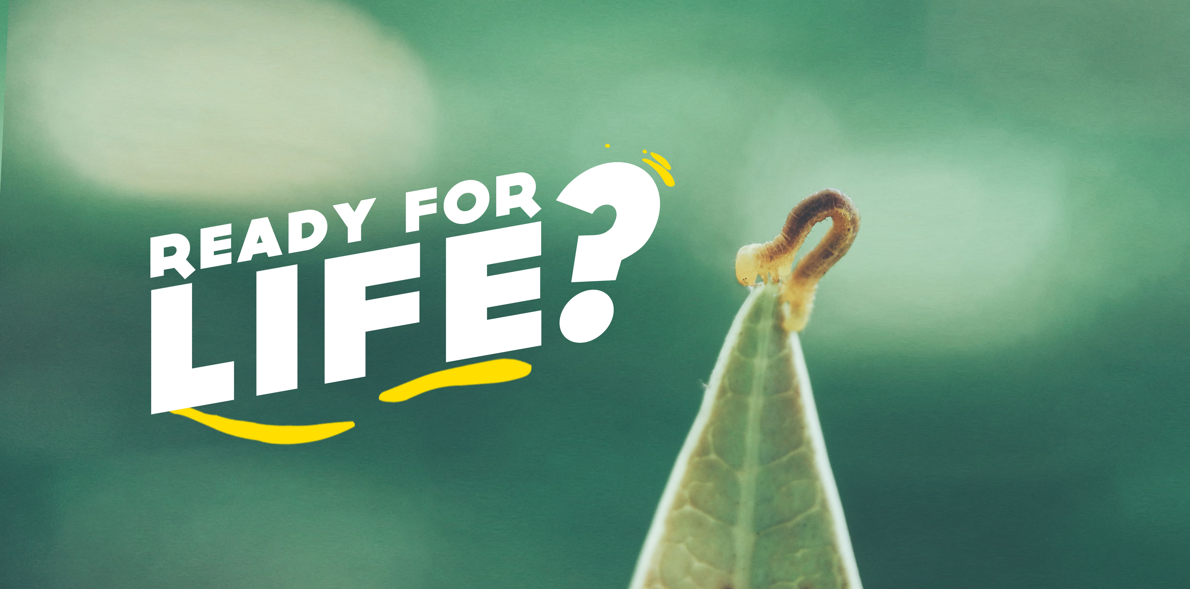 Ready for Life - Mühle Weingarten